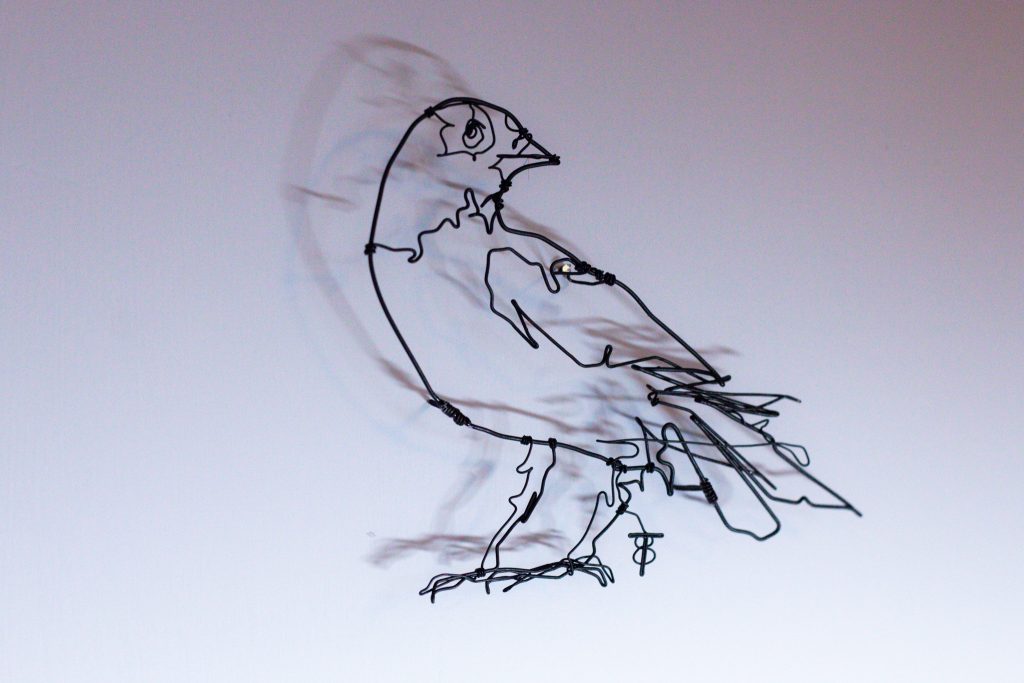 Jackdaw Looking Back Wire Drawing | Ben Baker Art